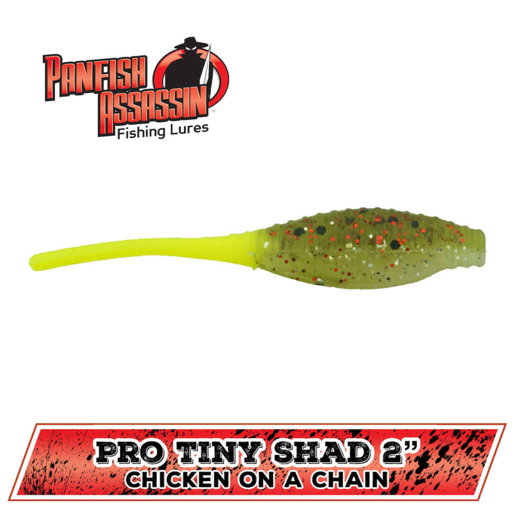 Panfish Assassin Pro Tiny Shad 2"